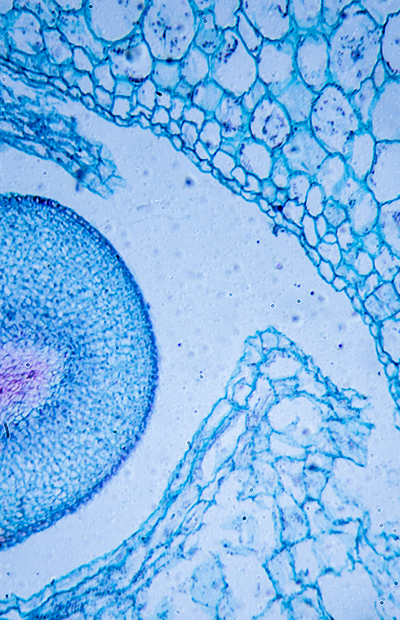 About Us_Techdow Pharma England Ltd